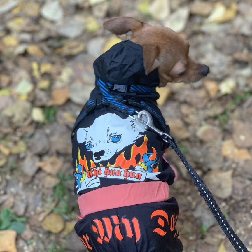 Дождевик для собаки For my dogs