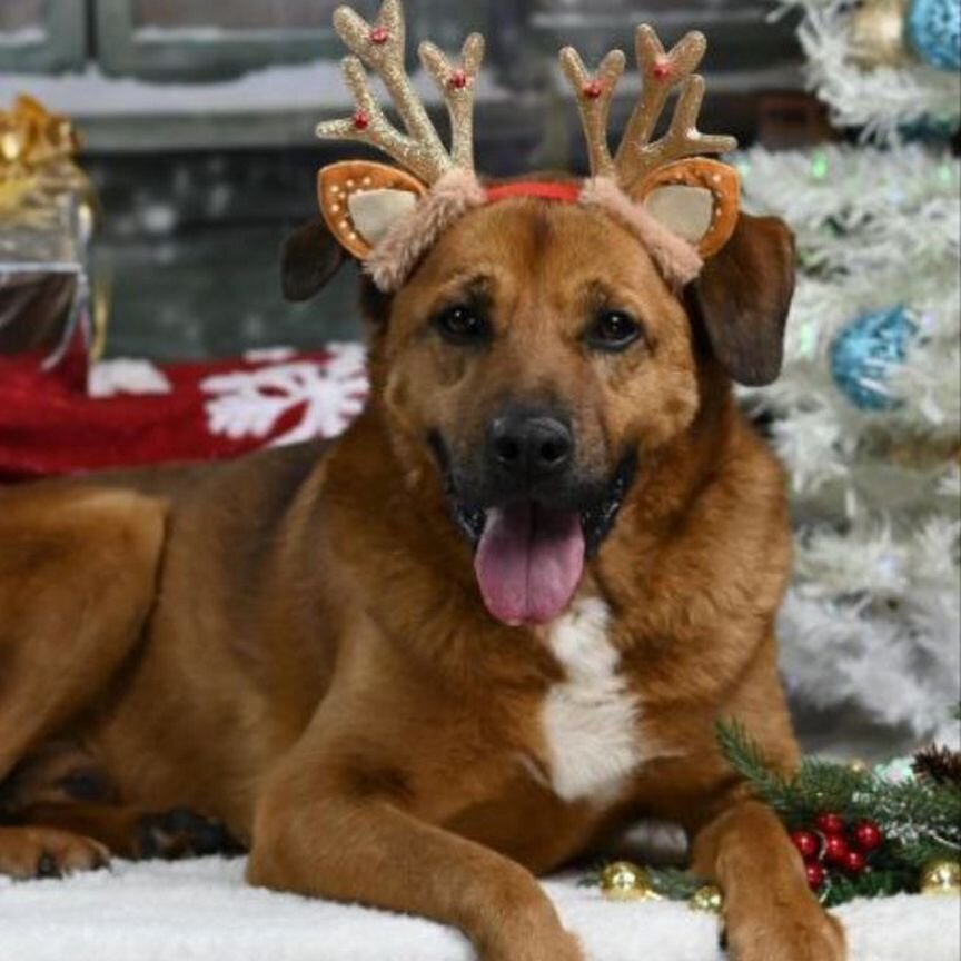 Тайфун в поиске дома