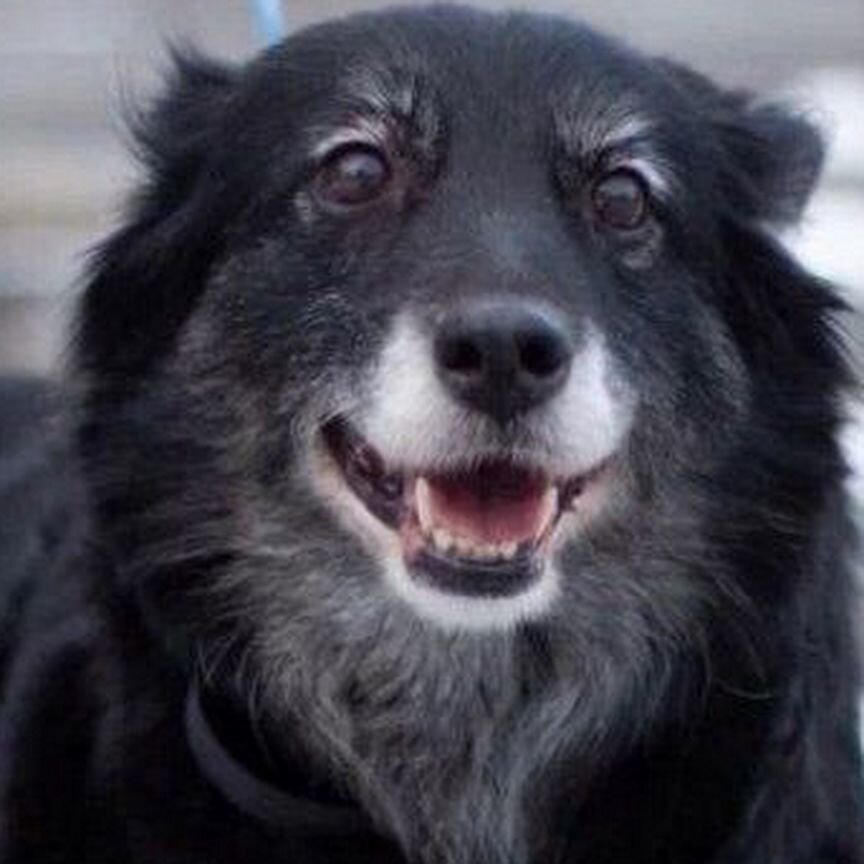 Девочка Мэгги, 7 лет