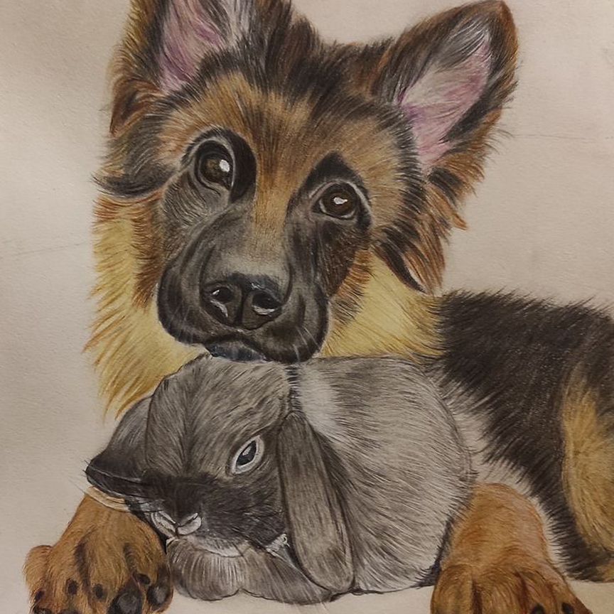 Рисую ваших питомцев