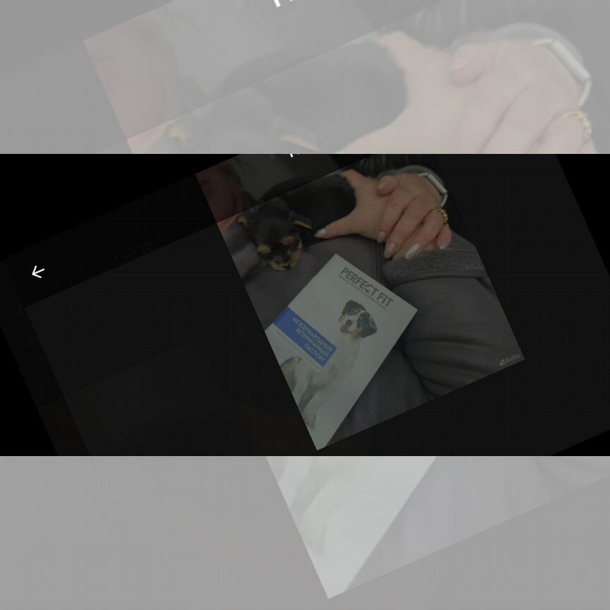 Щенок от частного владельца