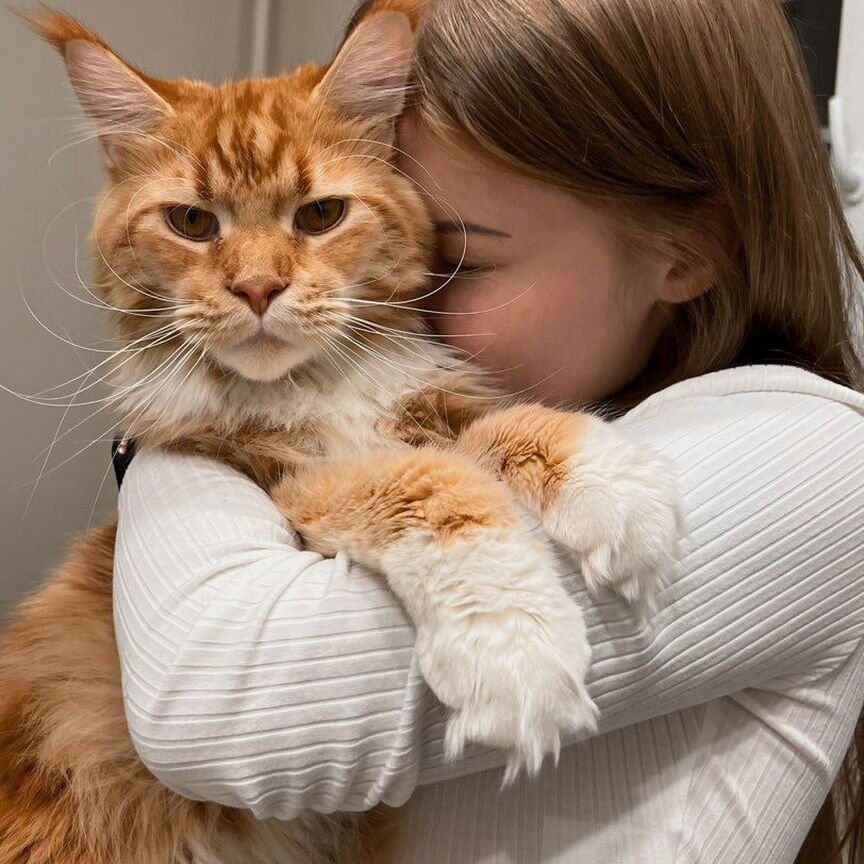 Зоопсихолог