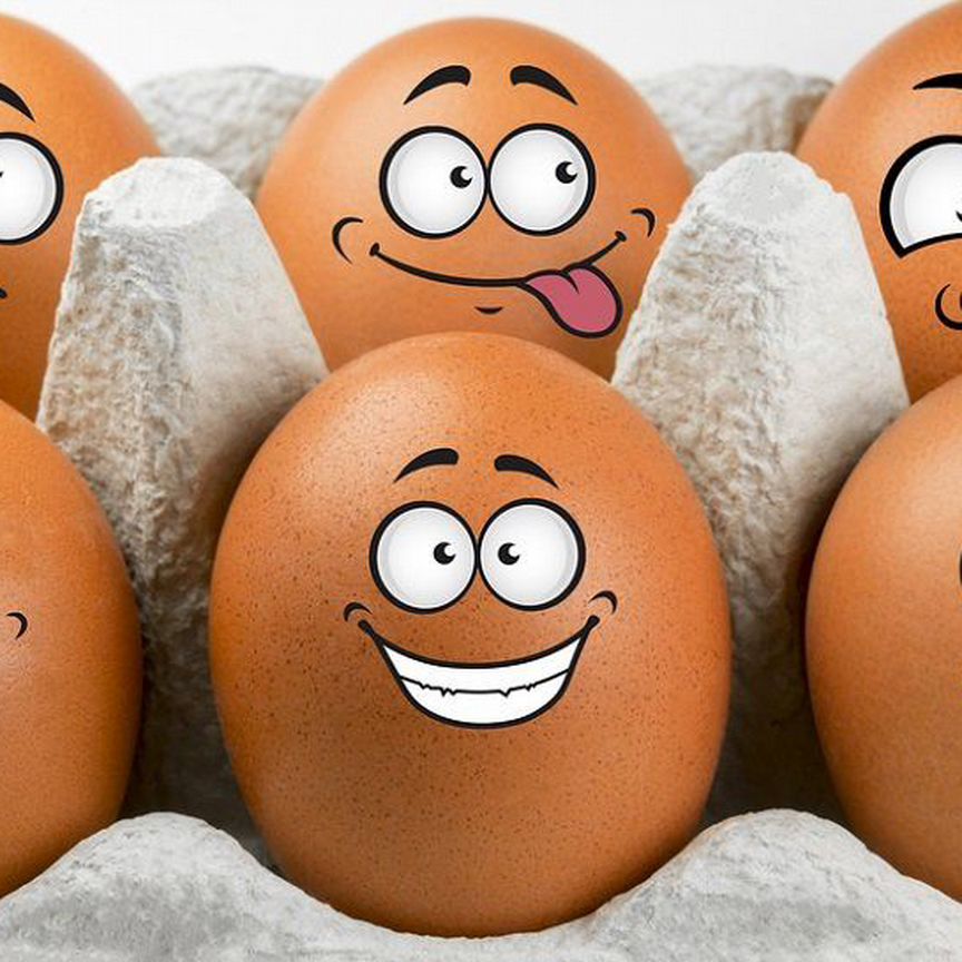 Инкубационное яйцо