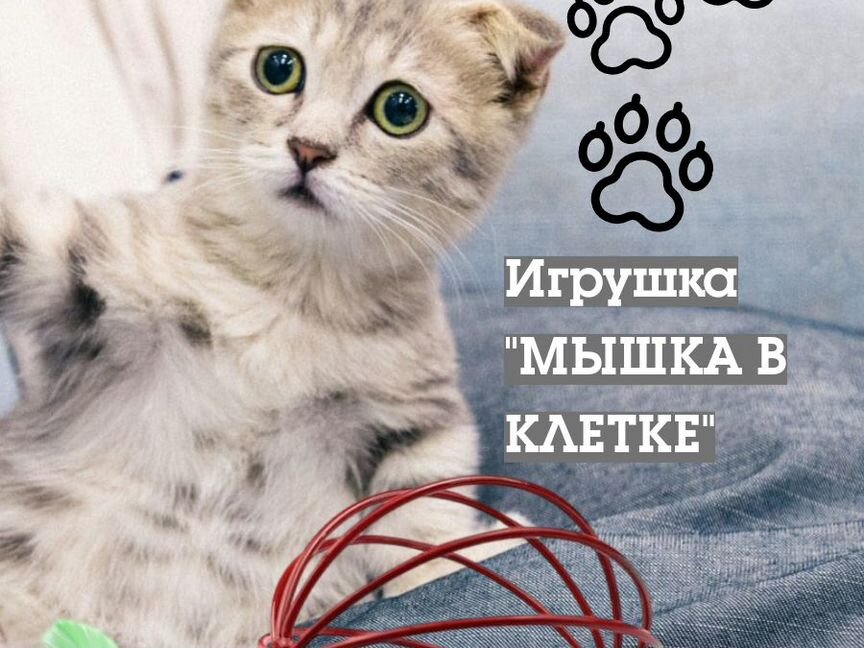 Игрушка мышка в клетке для кошек