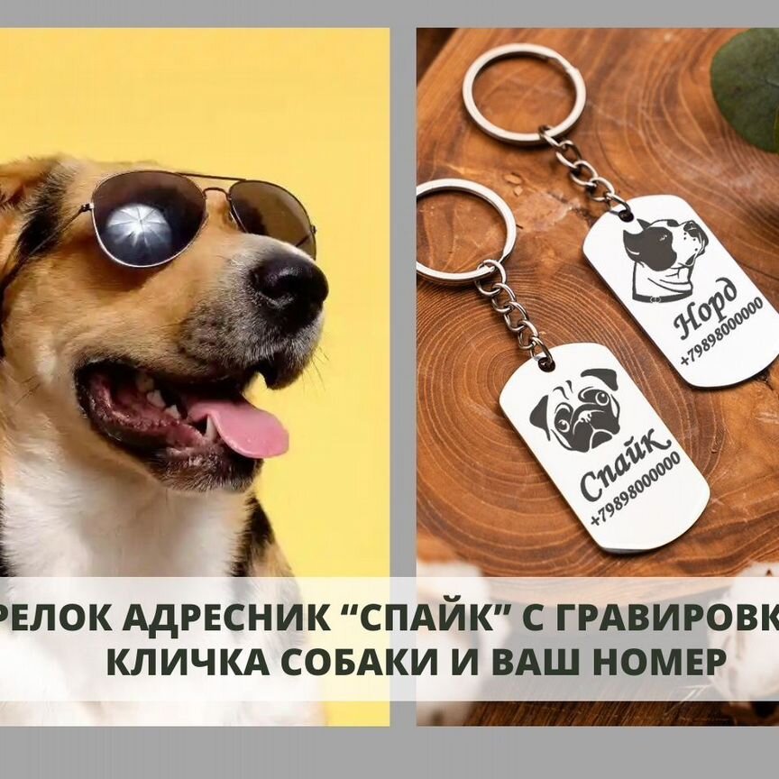 Адресник «Спайк» для собак и кошек. Гравировка кли