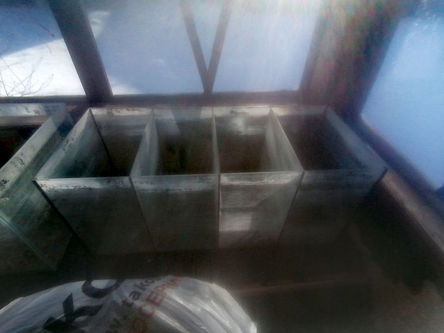 Аквариум, витрина