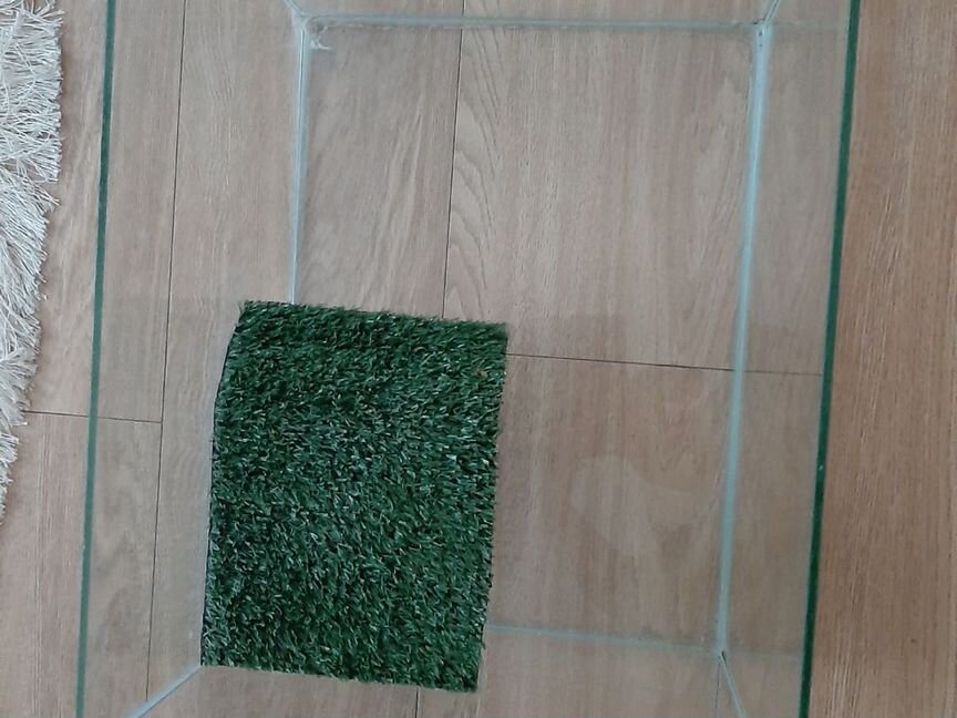 Террариум для черепахи