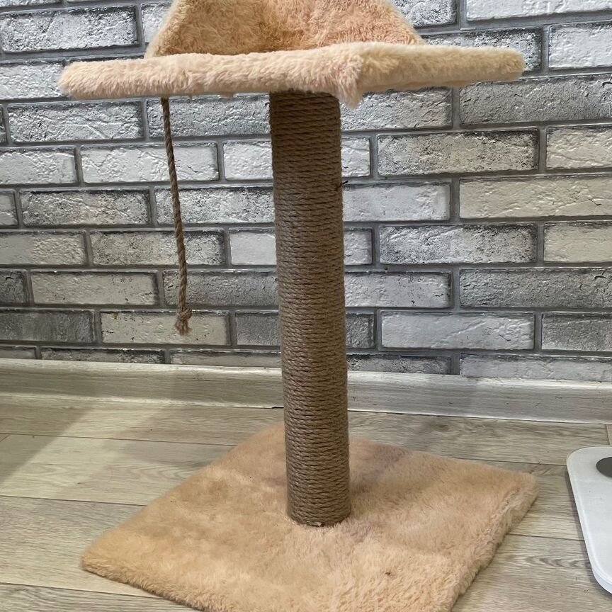 Когтеточка