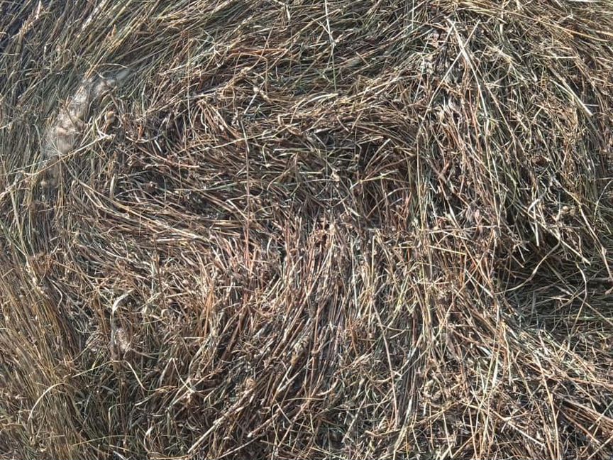 Сено в мешках