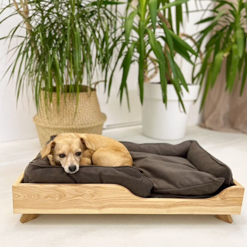 Лежак для собаки из ясеня с мягким матрасиком