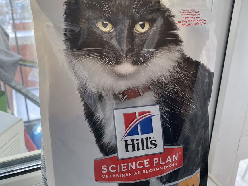 Сухой корм для кошек Hills
