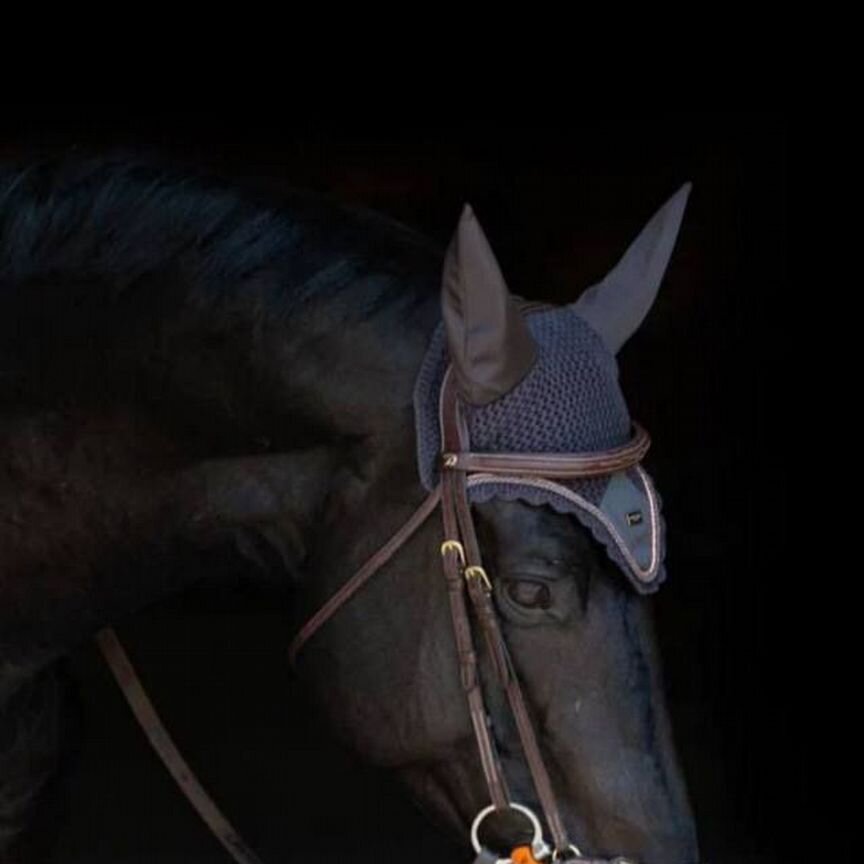 Уздечка для лошади