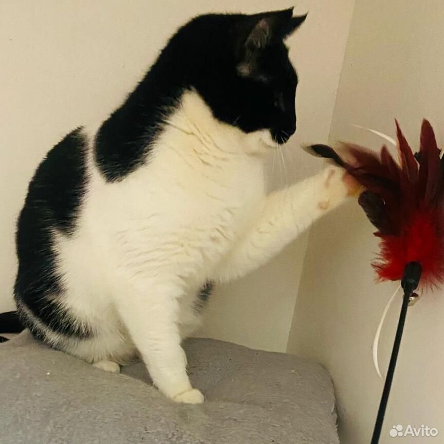 Помогите найти дом Люсенька печальная история