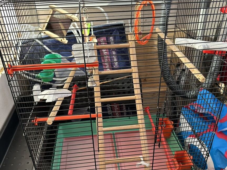 Клетка для попугая