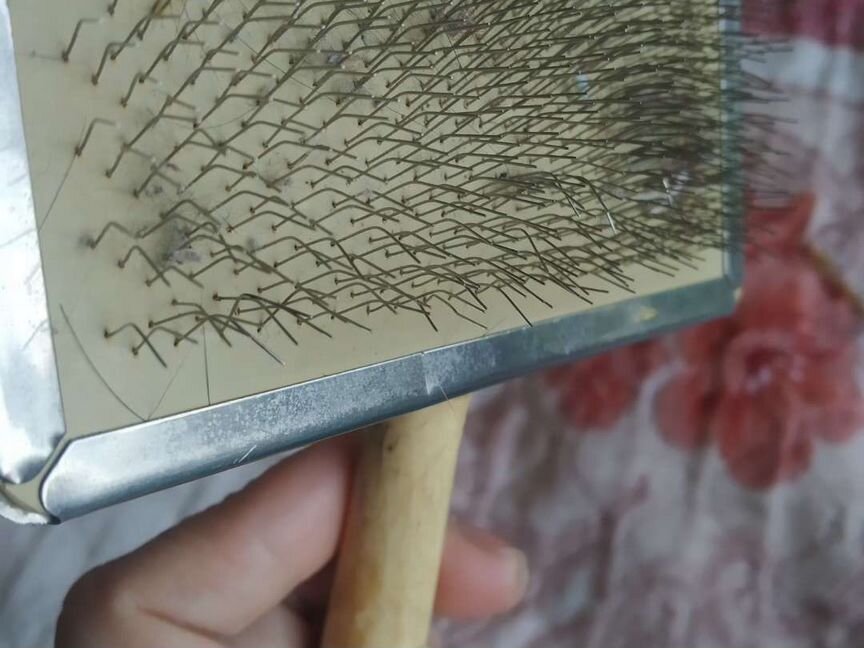 Щетка для животных