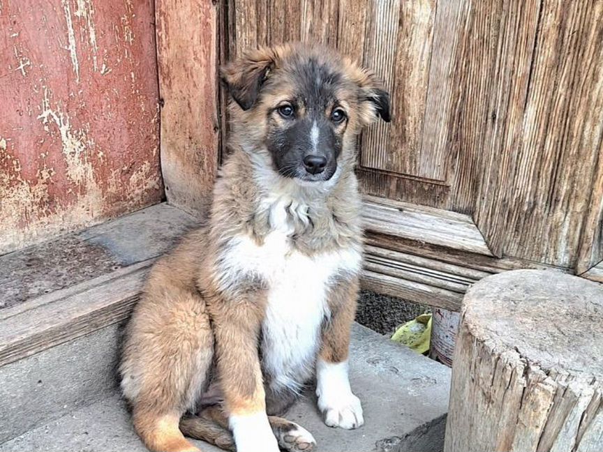 Верит в чудо