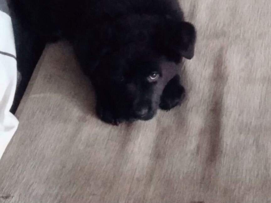 Девочка немочка