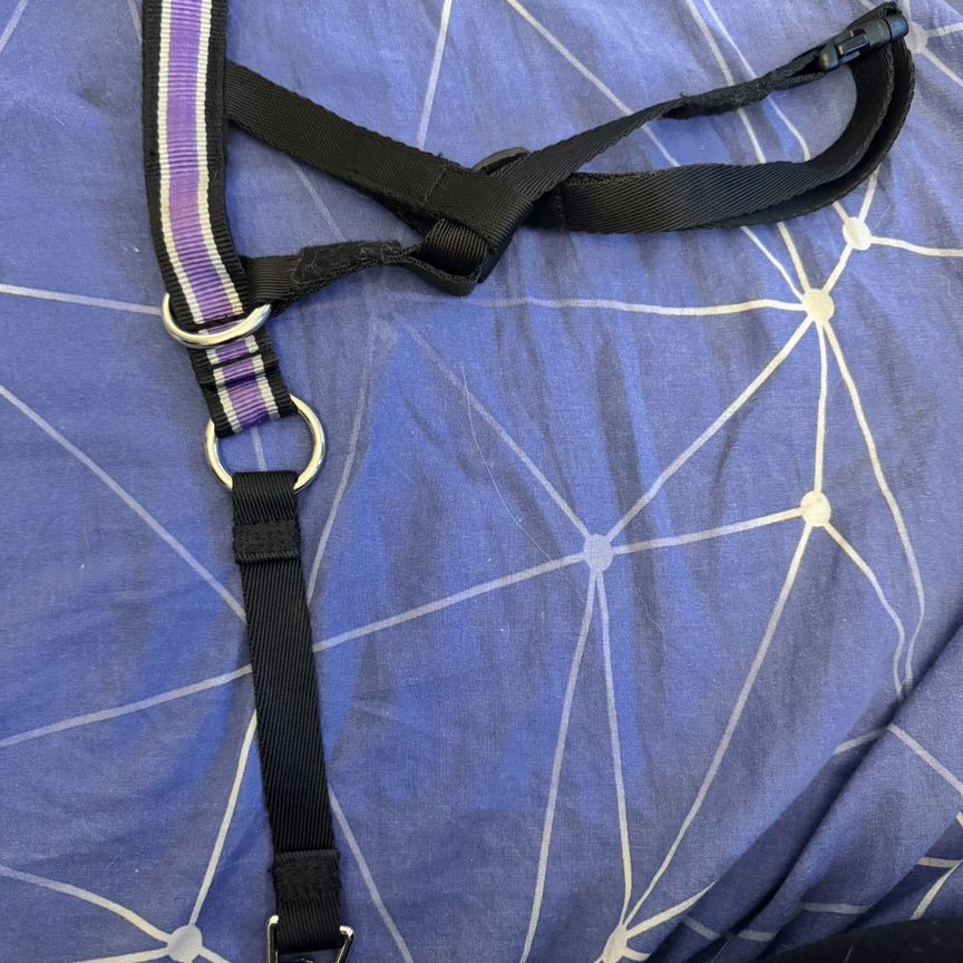 Недоуздок для собак White wolf