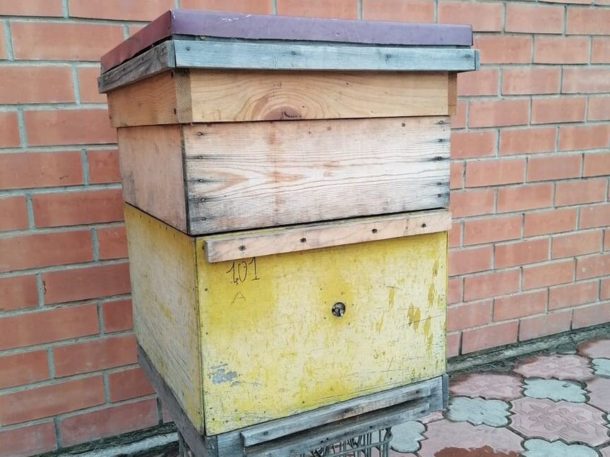 Улей для пчел бу