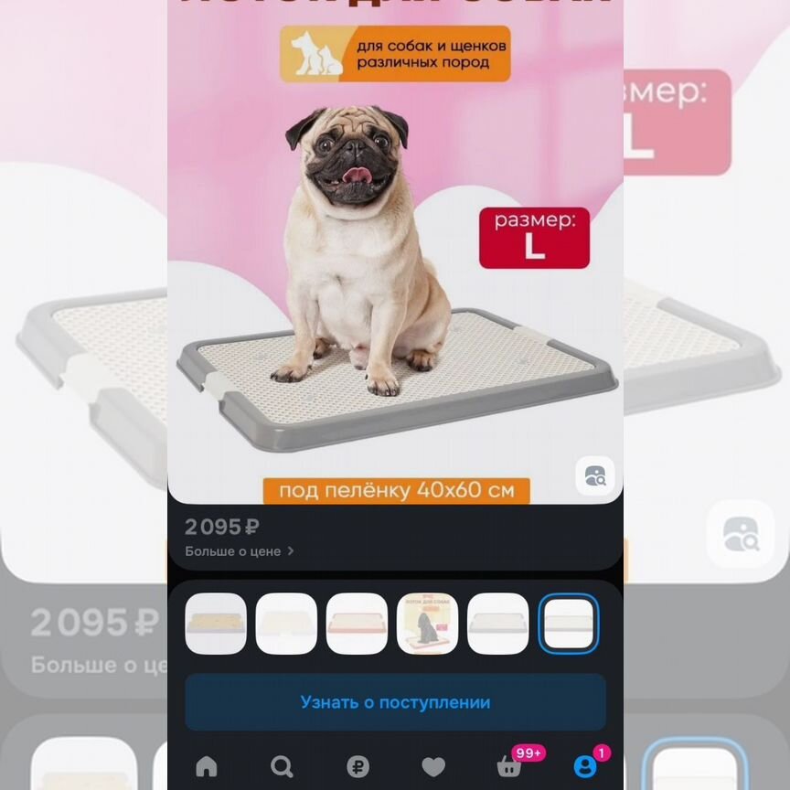 Лоток для собак