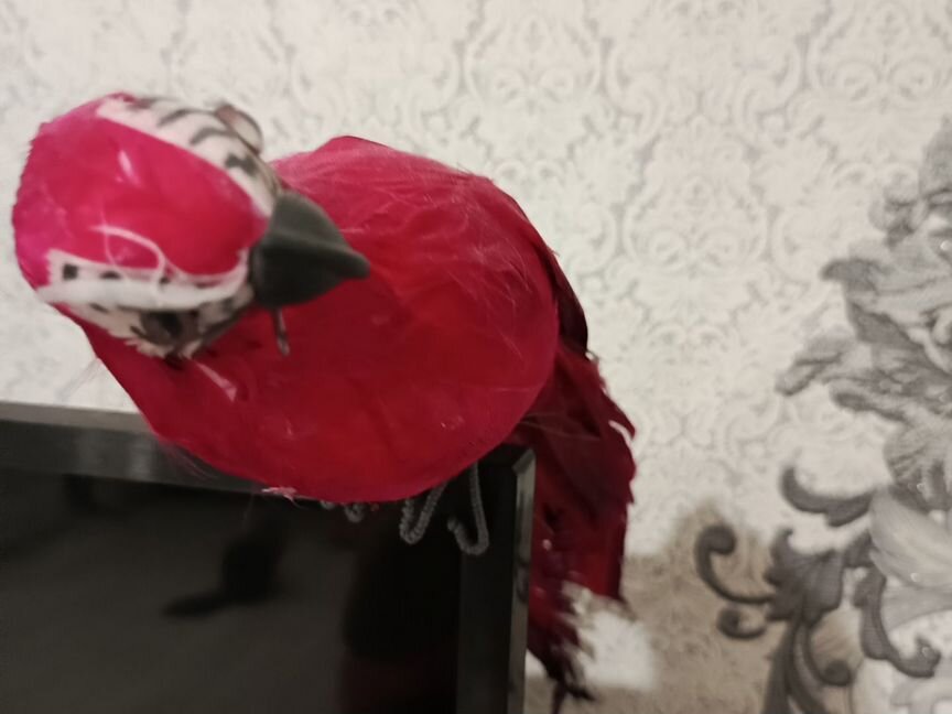 Декоративные птички