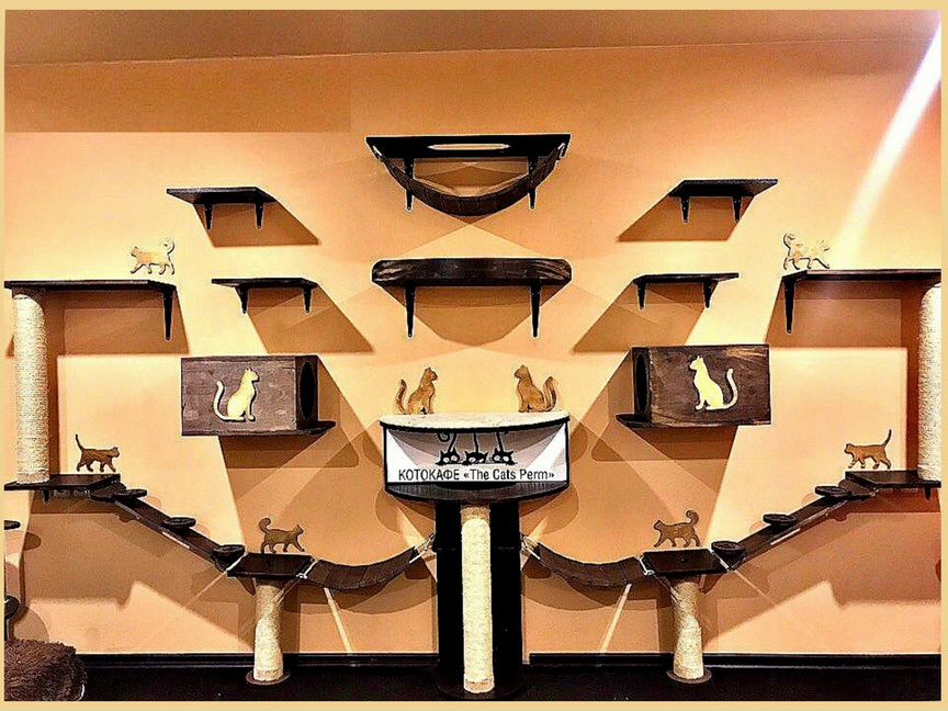 Настенный комплекс,домик,когтеточка для кошек