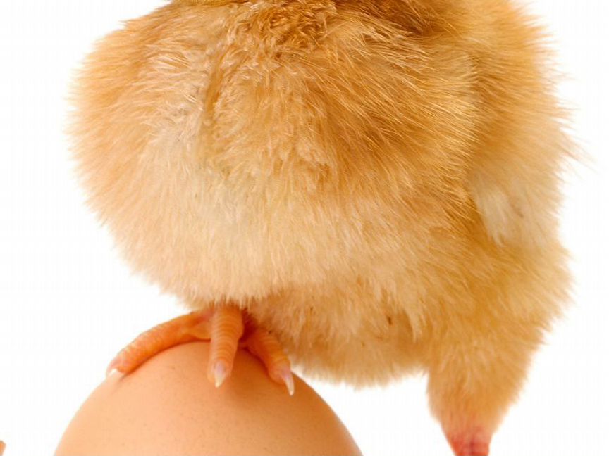 Кучинка ия