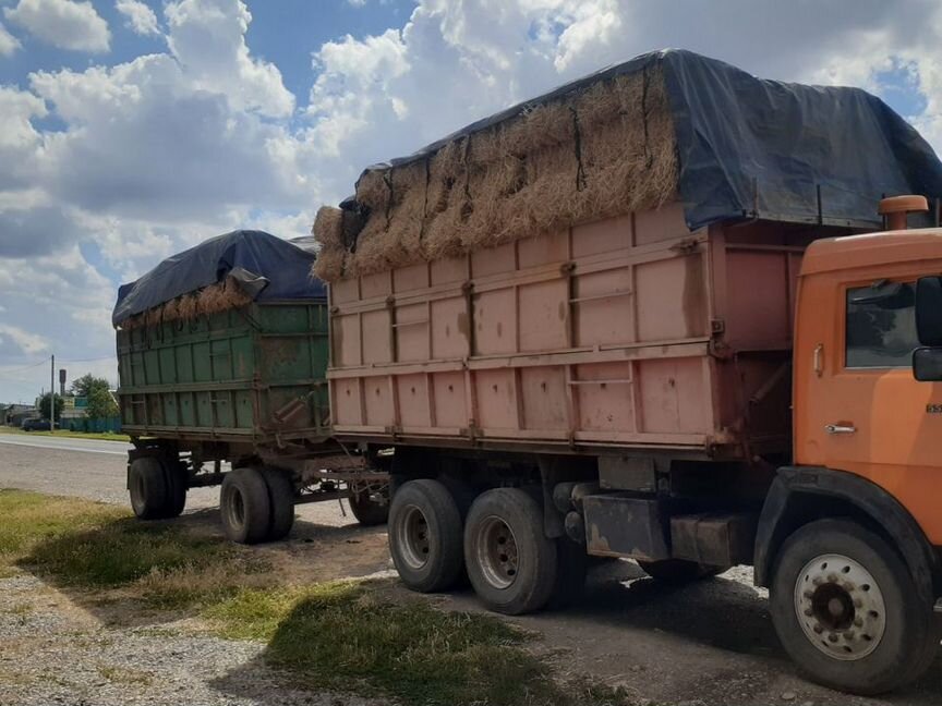 Тюки Солома Горох Ячмень Пшеница