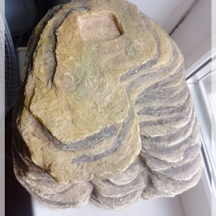 Островок для черепахи