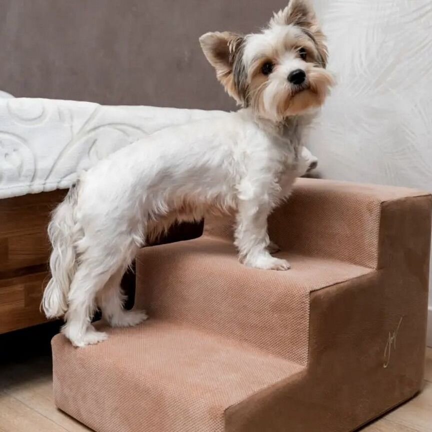 Лесенка для собак