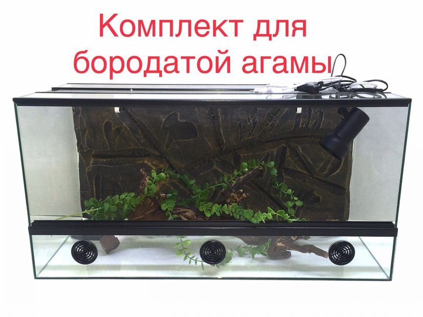 Террариум для бородатой агамы / комплект
