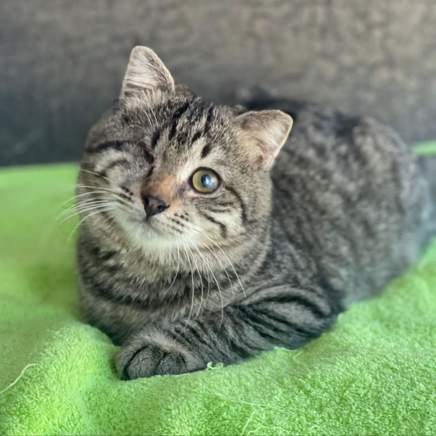 Лучика никто не замечает