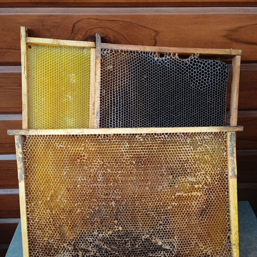 Продаются рамки (сушь)