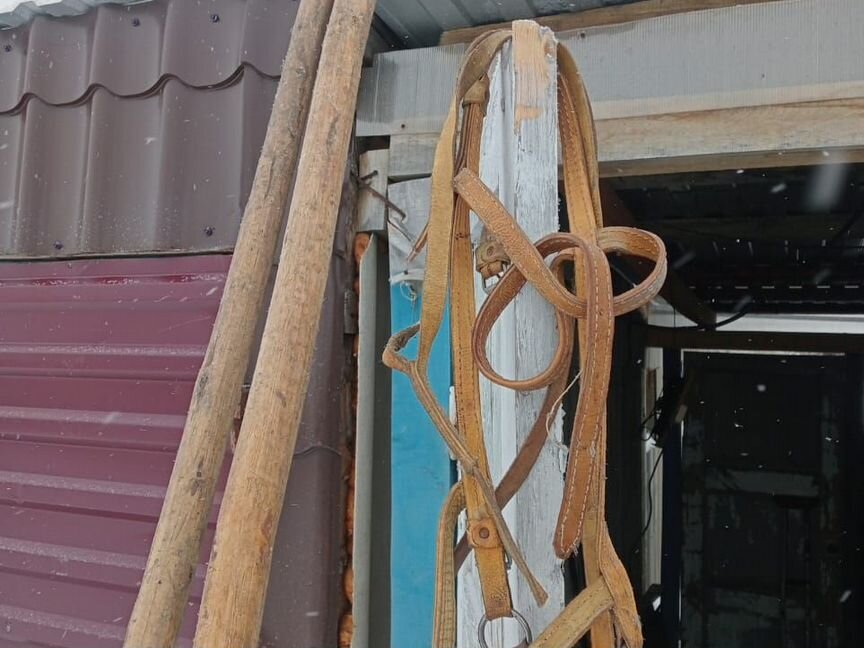 Продам конная упряж