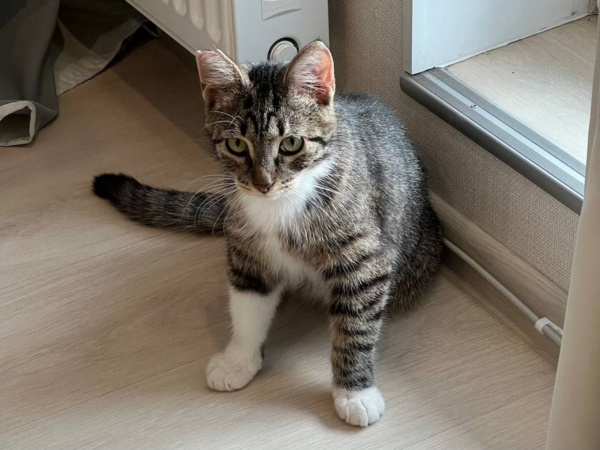 Маленький малыш в добрые руки