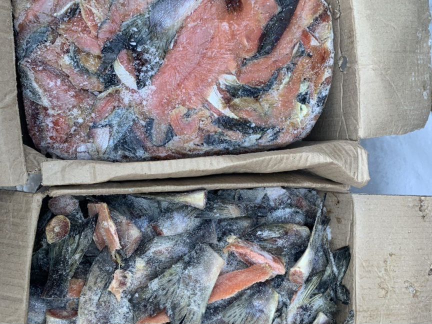 Рыбные отходы