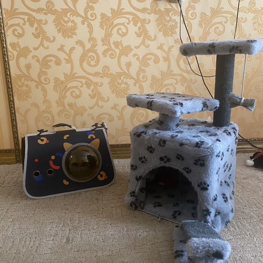 Домик доя кошек