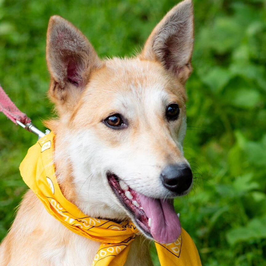 Ласковая Бэтти, 1 год