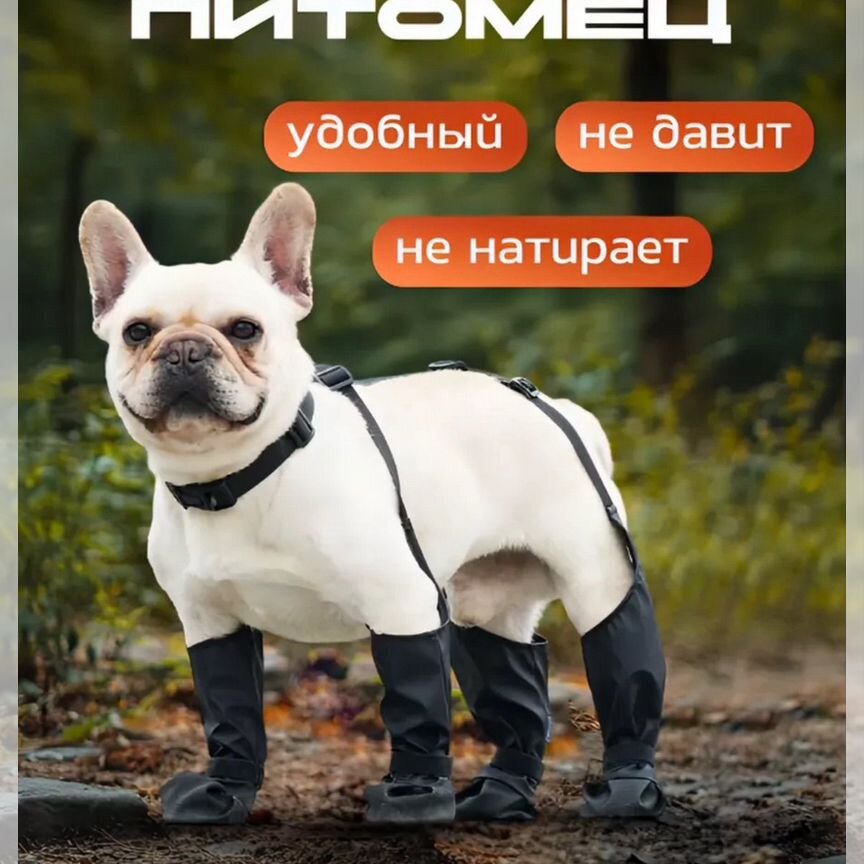 Обувь для собак мелких и средних пород осень зима