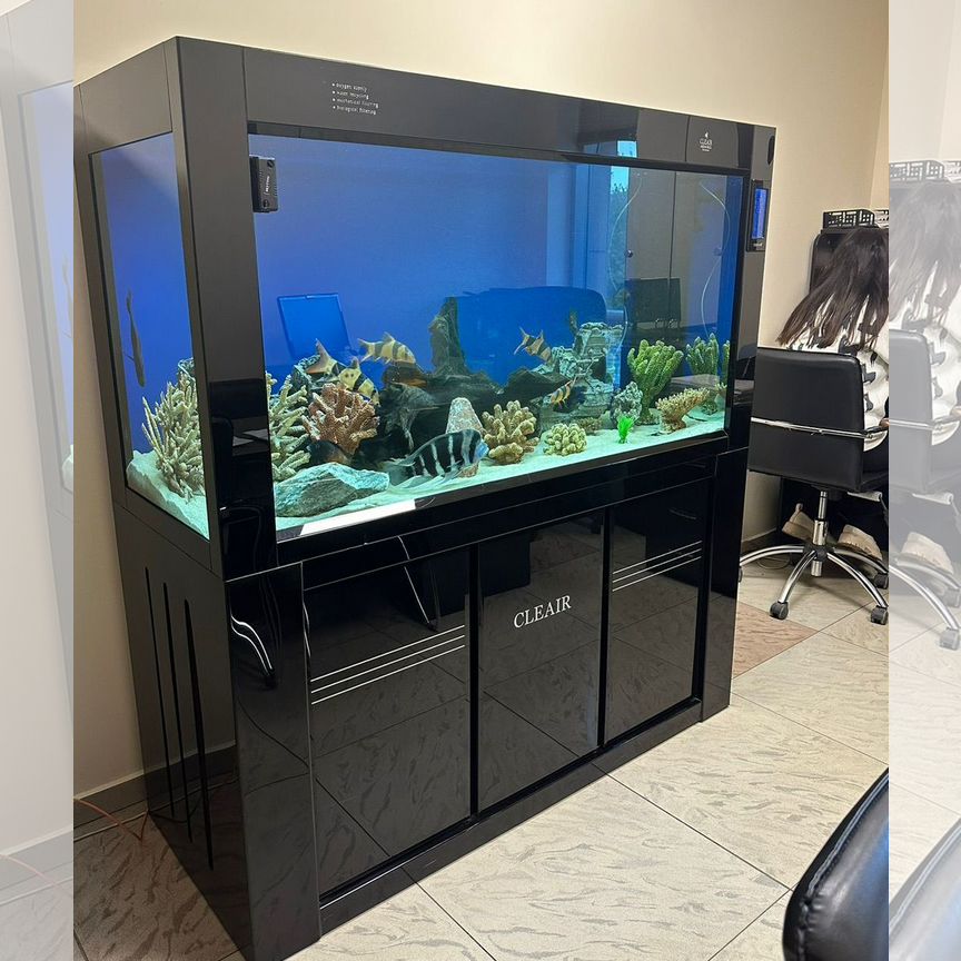 Аквариум cleair