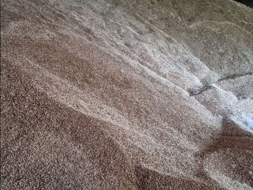 Гречиха, Кормовой овёс корма