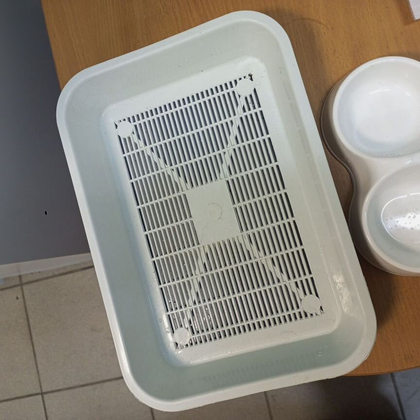 Лоток и кормушка для котов