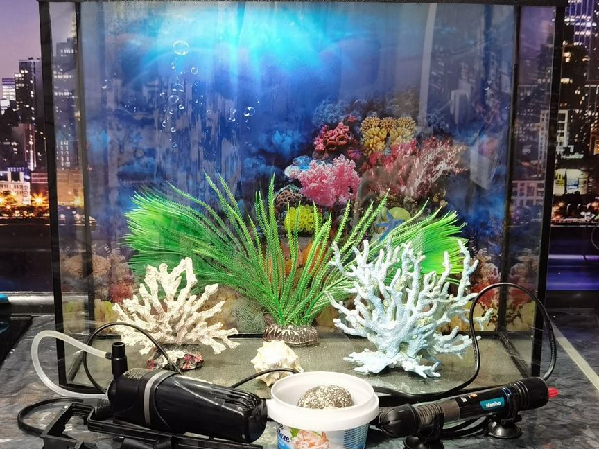 Аквариум панорамный со всем содержимым 30л