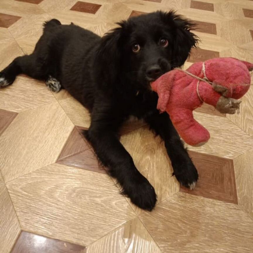 Супер девочка