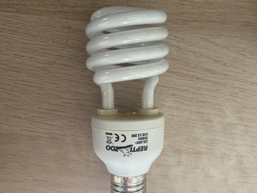 Лампочка ультрафиолетовая