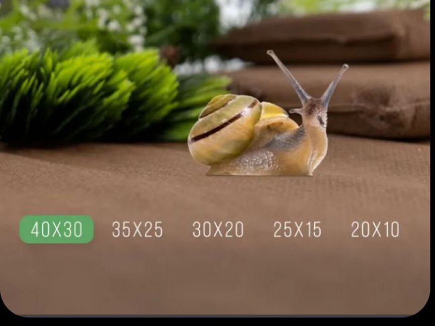 Мат для улиток