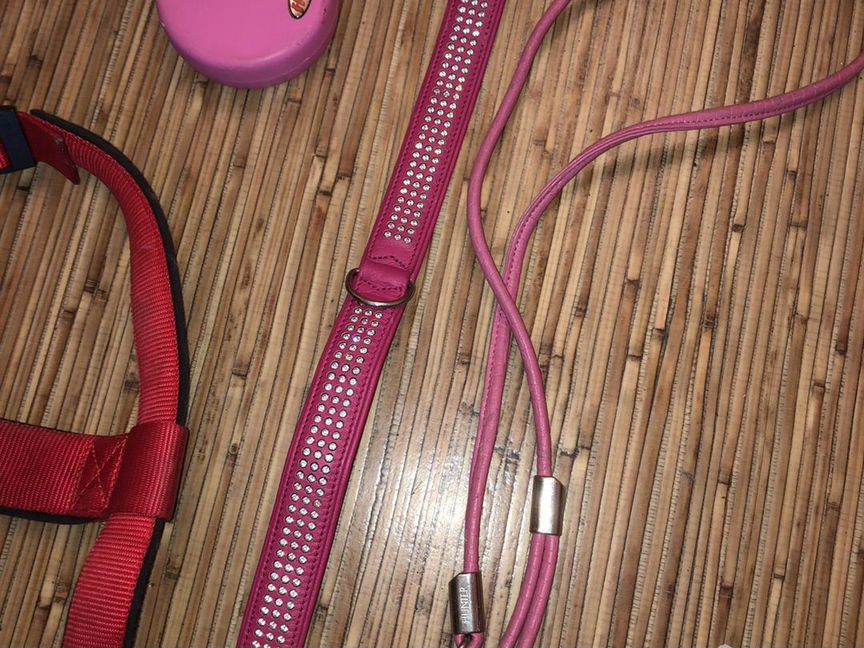 Рулетка ошейник шлейка