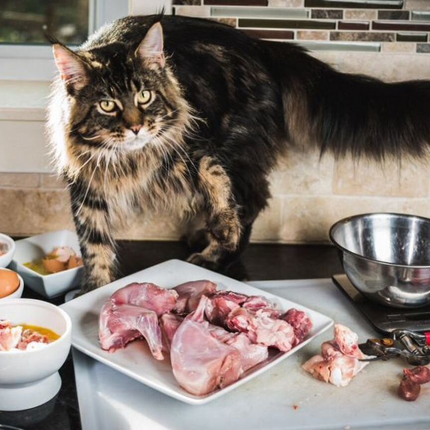 Мясной микс для кошек и собак