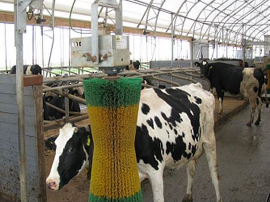 Чесалки электрические для коров