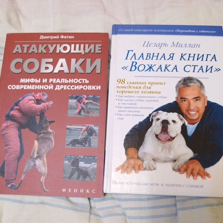 Воспитание и дрессировка собаки